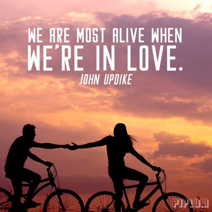 We are most alive when we're in love. John Updike. Love Quote.