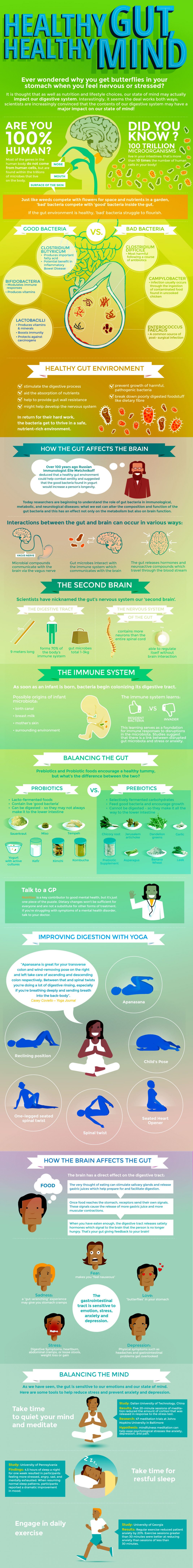 How Gut Bacteria Affects The Brain And Body. [infographic]