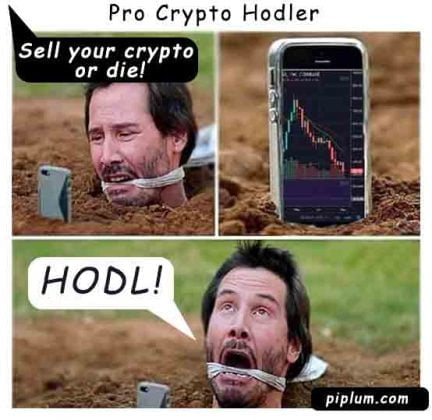 2025 Crypto Memes. Stay Calm You F***
